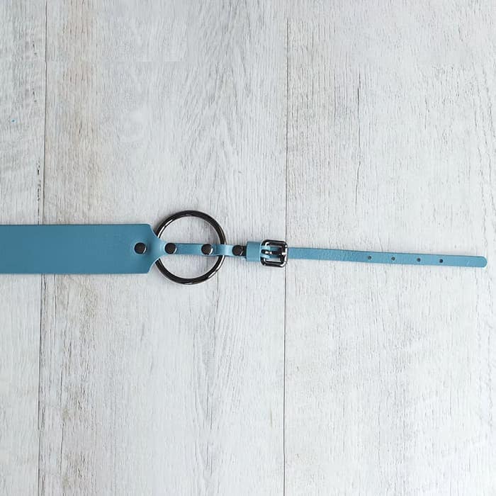 (新品)4Silent Birds（フォーサイレントバーズ） NOCTUA CAMERA STRAP AUDENIL ライトブルー（商品ID ...